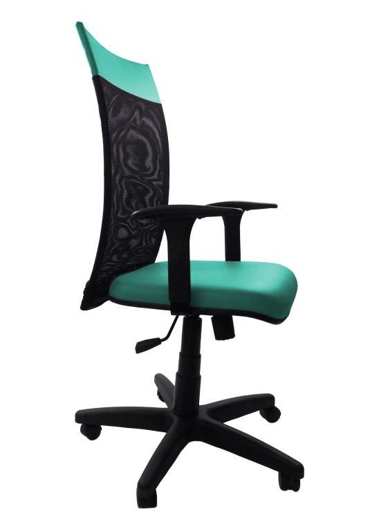 Cadeira Vênus Presidente em Tela Mesh com Braço Regulável - Turquesa ...