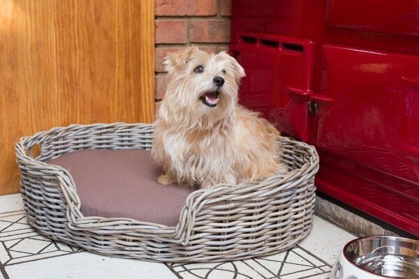 Cama para cachorro Pet Chaise Boomer | MadeiraMadeira