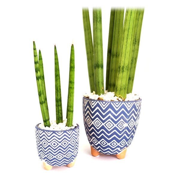 Kit com Dois Vasos em Cerâmica Tupi com Lança de São Jorge Reta ...