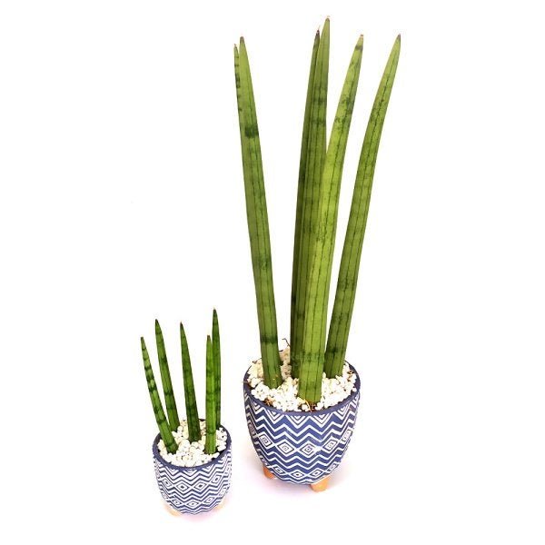 Kit com Dois Vasos em Cerâmica Tupi com Lança de São Jorge Reta ...