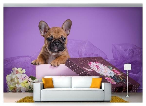 Papel De Parede Animais Bulldog Presente 3D 6M² Anm147 | MadeiraMadeira