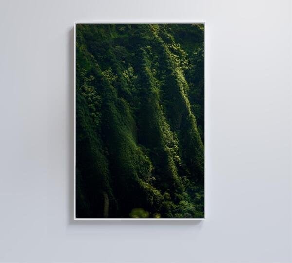 QUADRO FLORESTA - 40x60 - Adesivo fotográfico | MadeiraMadeira