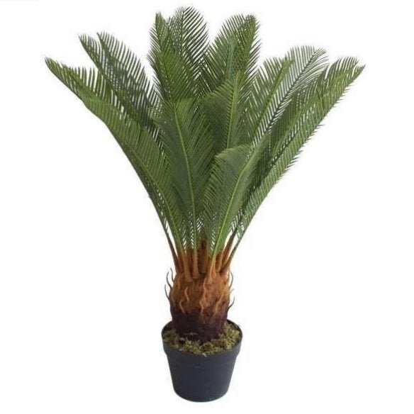 Árvore Cycca Artificial 82x84x70cm Planta Permanente | MadeiraMadeira