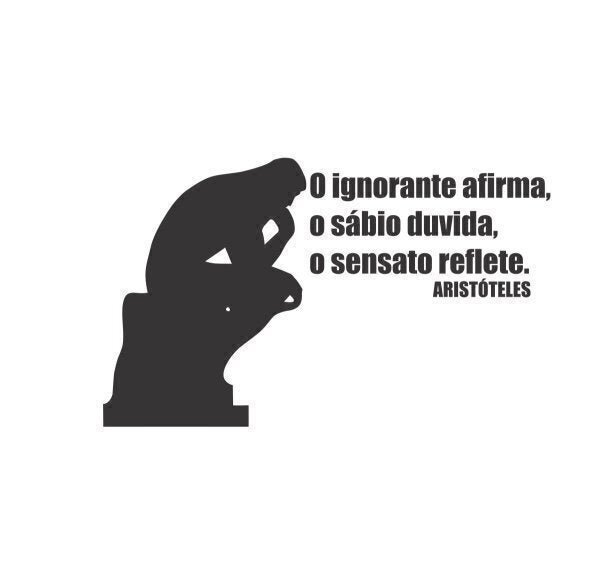 Adesivo Decorativo De Parede Frase O Ignorante Sabio Sensato ...