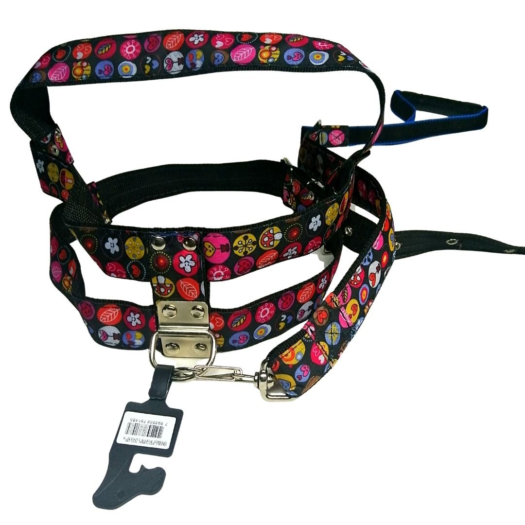 Conjunto Guia Com Peitoral Grande Porte 40mm N8 Pró | MadeiraMadeira