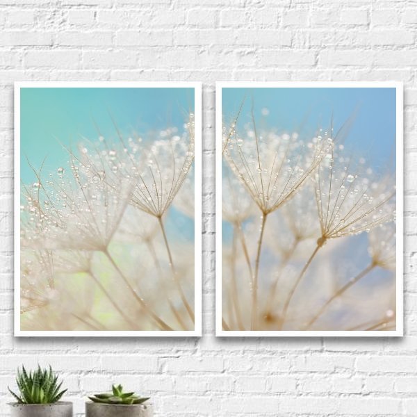 Kit 2 Quadros Dente De Leão Céu Azul 45x34cm - com vidro:Madeira preta ...