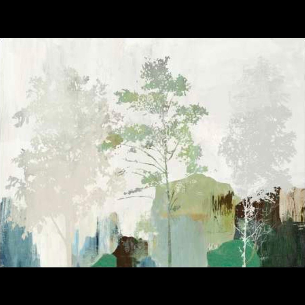 Daydream Teal Ii Canaleta 60x45cm Preta | MadeiraMadeira