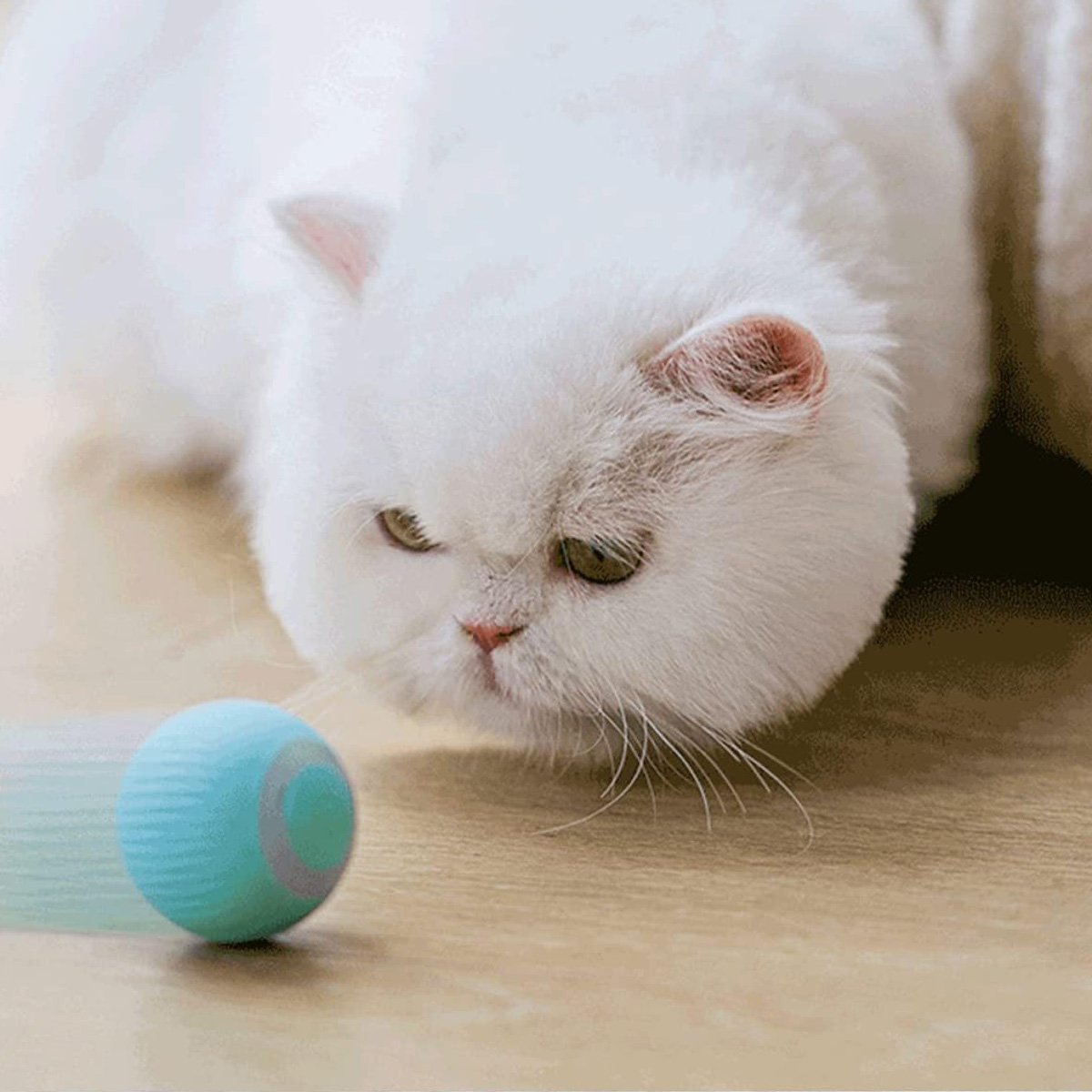 Bola Giratoria Inteligente Gato Pet Felino Bicho Usb Bateria ...