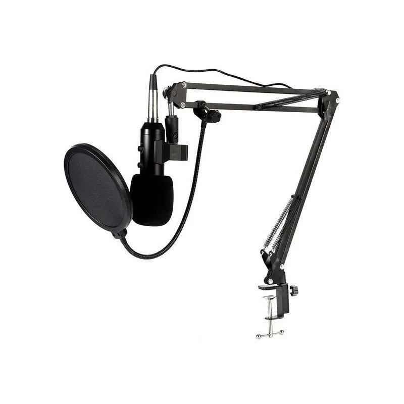 Microfone Profissional de Estúdio Usb Bm 900 | MadeiraMadeira
