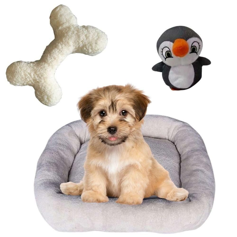 Kit Cama Pet Bigata M Luxo Confortavel com Osso e Pelucia Avelã ...