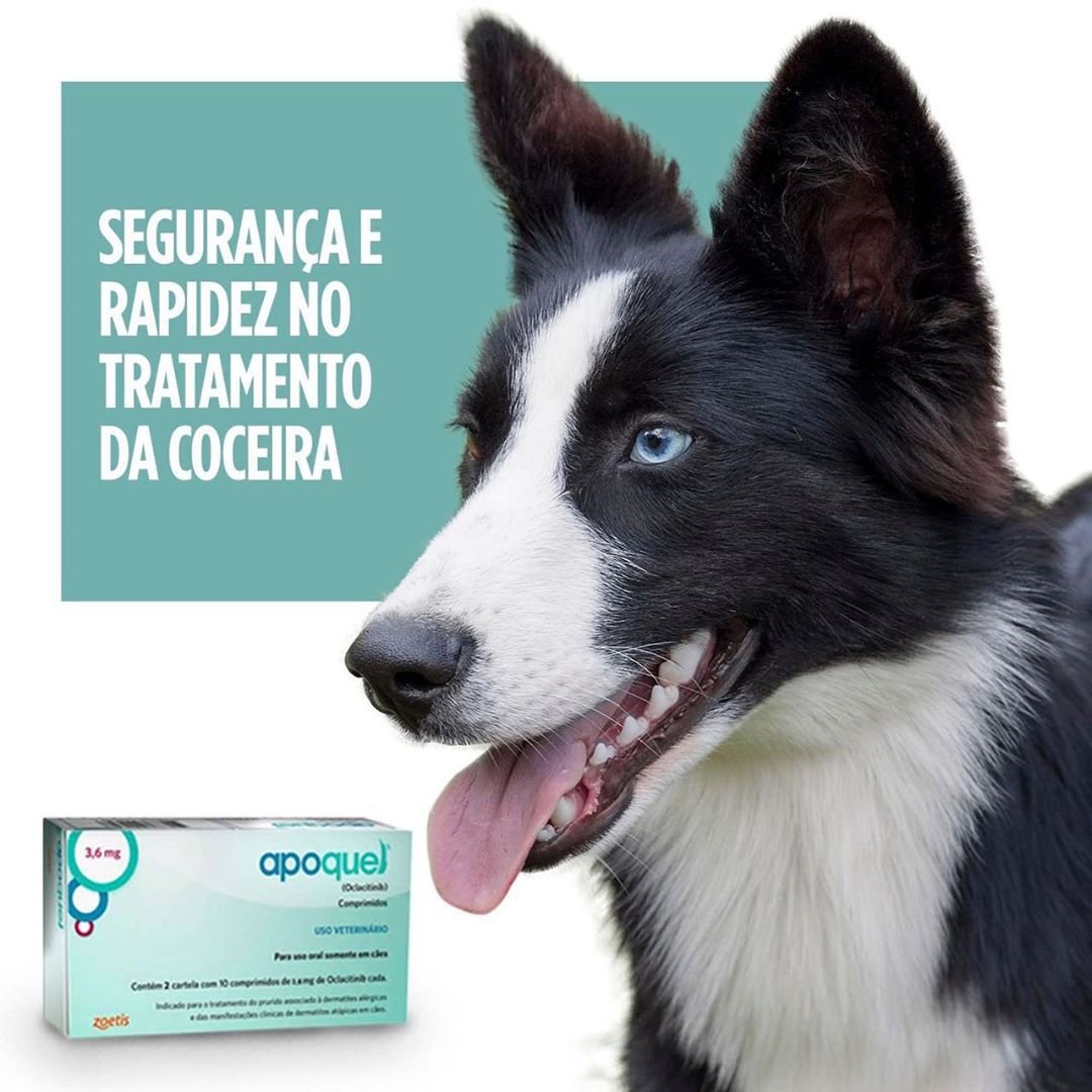 Apoquel Dermatológico Zoetis Para Cães 5,4 Mg 20 Comprimidos ...