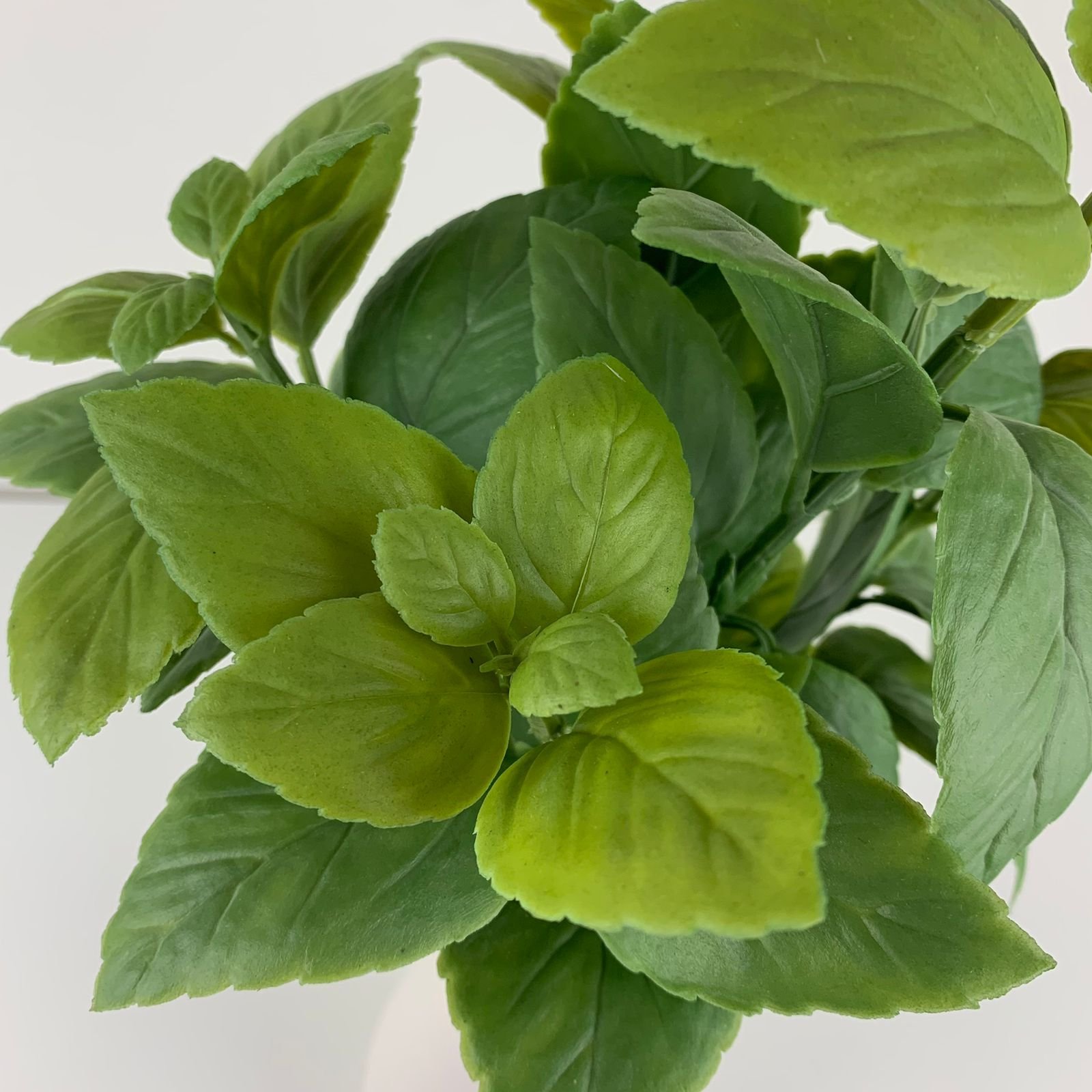 Buque de Hortelã 32cm Azaide | MadeiraMadeira