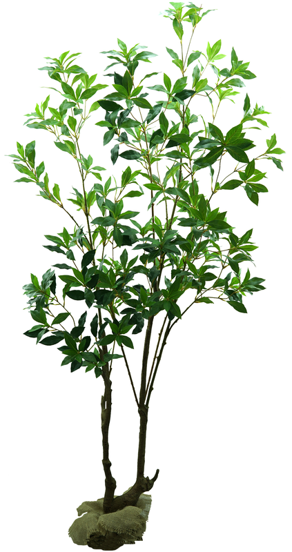 Arvore Planta Permanente Folha Verde Folhagem 174cm Premium | MadeiraMadeira