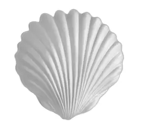 Concha Decorativa Perola Vylux | MadeiraMadeira