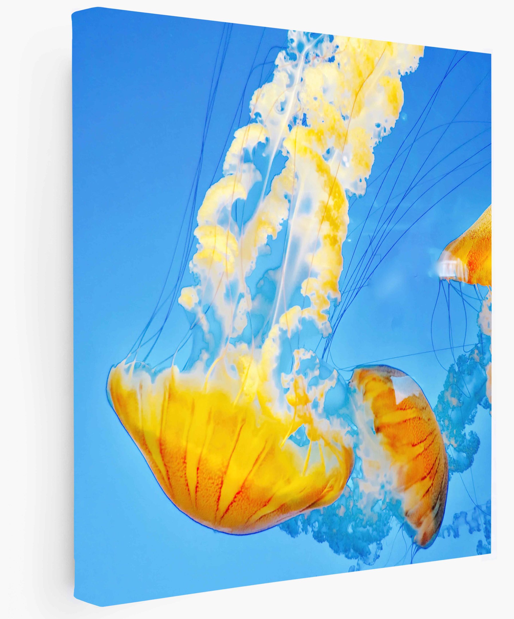 Agua Viva Mar:40x60cm | MadeiraMadeira