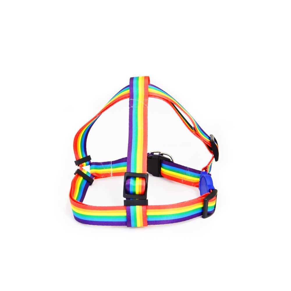 Peitoral Tulum Pet Arco-Iris - Tam. P e M | MadeiraMadeira