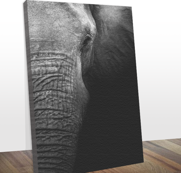 Quadro decorativo Elefante Preto e Branco em canvas com chassis de ...