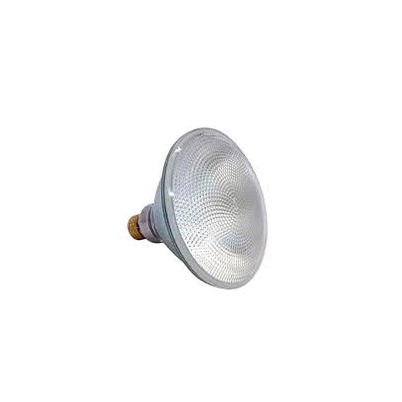 Lampada Halógena Par 38 - 100W | MadeiraMadeira
