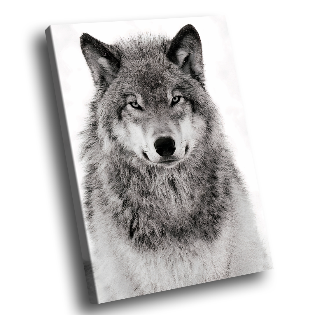 Quadro Lobo Natureza -- BR ARTES Pequeno 60x40 | MadeiraMadeira