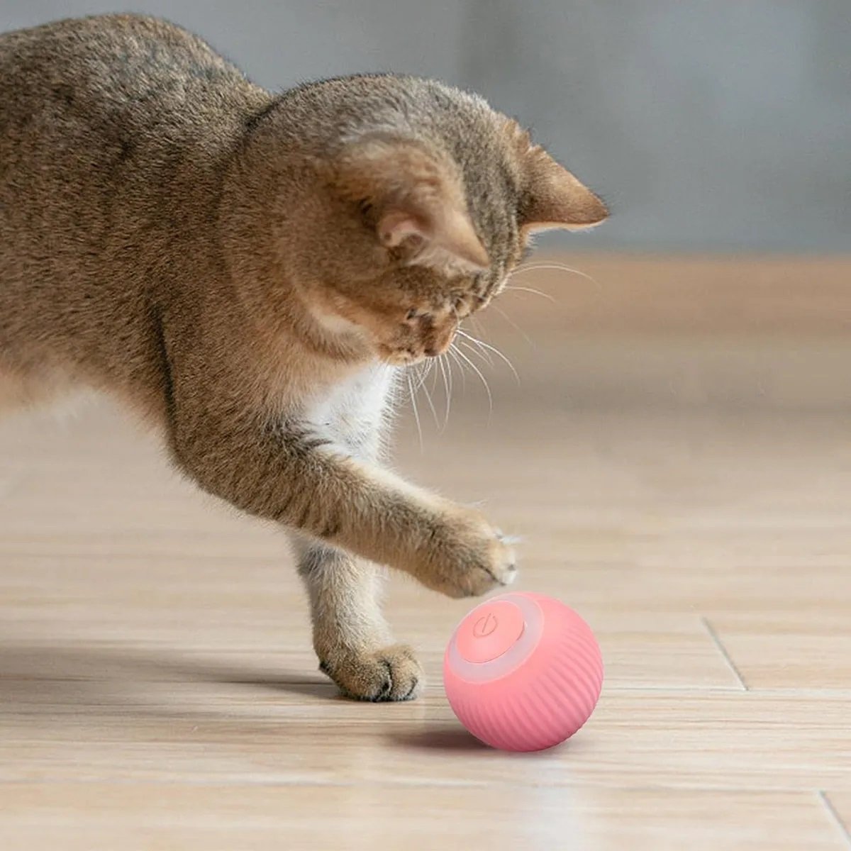 Bola Bolinha Giratoria Gato Pet Felino Animal de Estimaçao Bateria ...