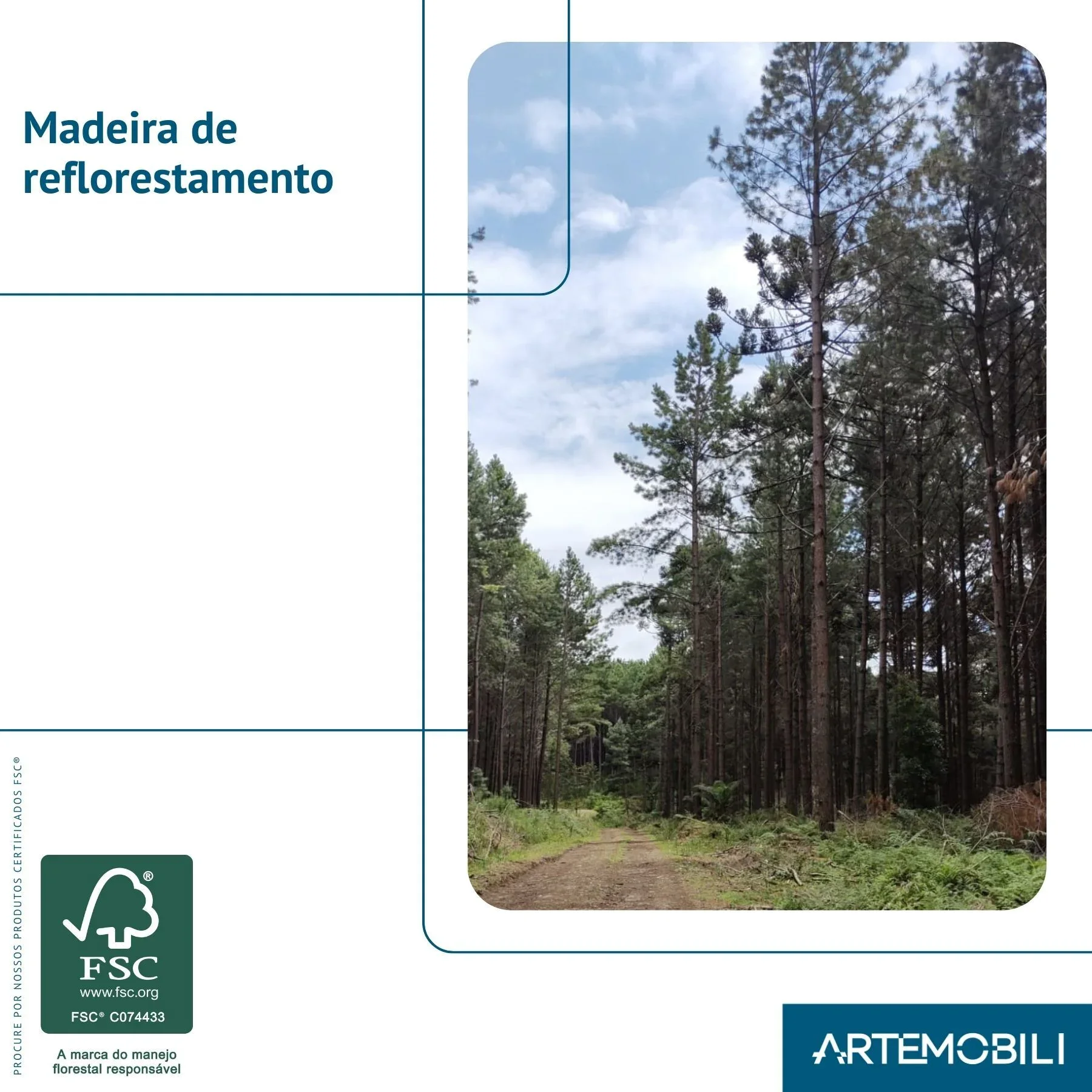 Módulo Simples 1 Porta Play Artemobili | MadeiraMadeira