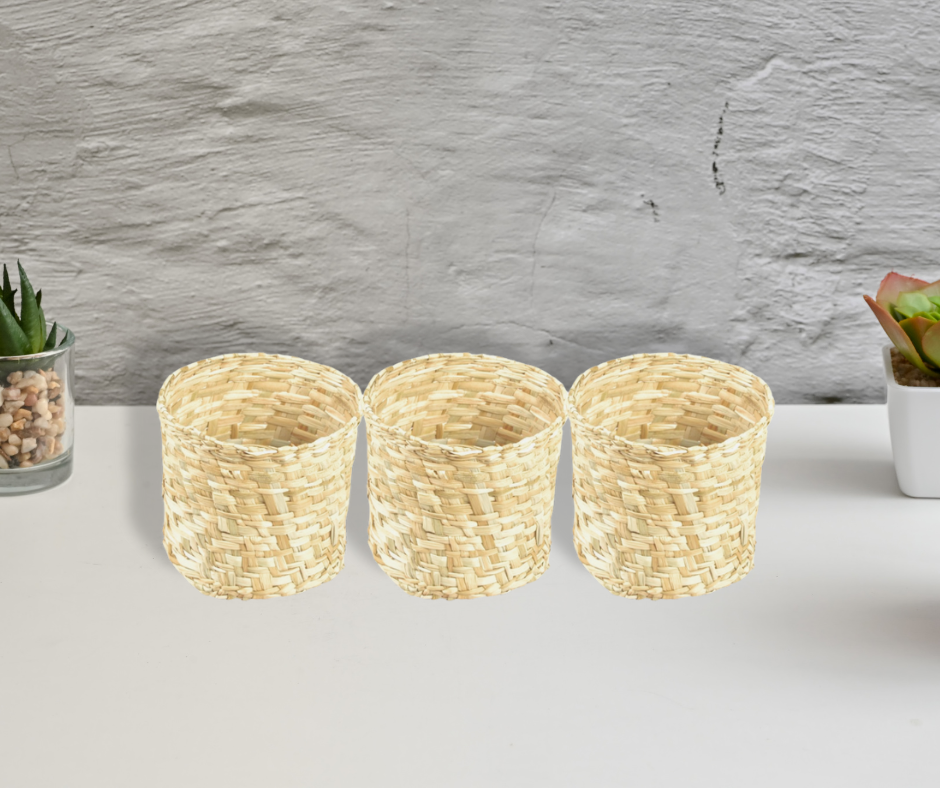 Kit com 3 Cachepo Taboa Flor Organizador Fibra Natural Tamanho:3 ...