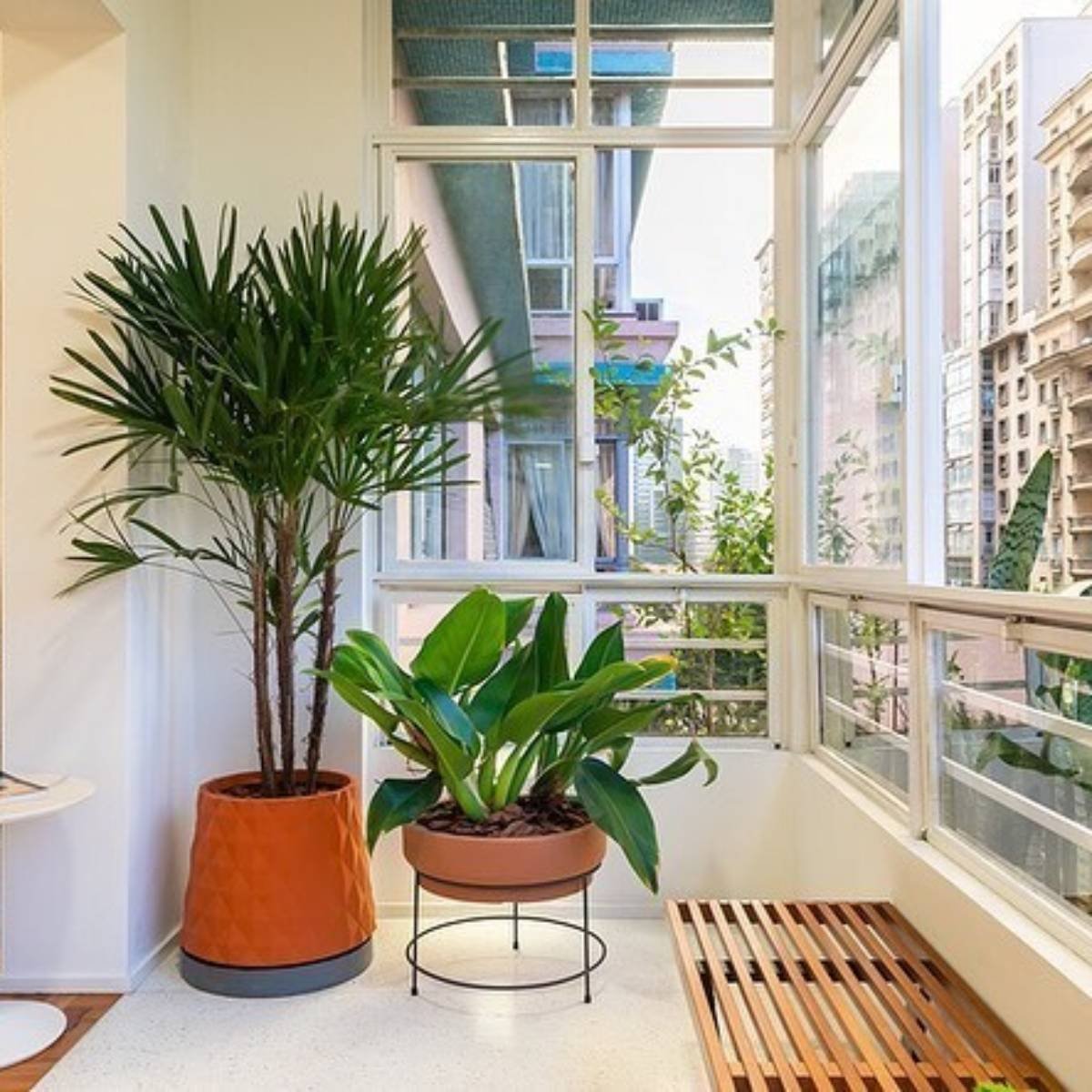 Vaso Recôncavo 46 (62l) Terracota Vasap | MadeiraMadeira