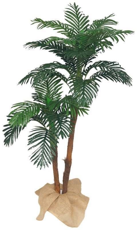 Arvore Coqueiro Planta Palmeira 2 Galhos 24 Folhas 150cm | MadeiraMadeira