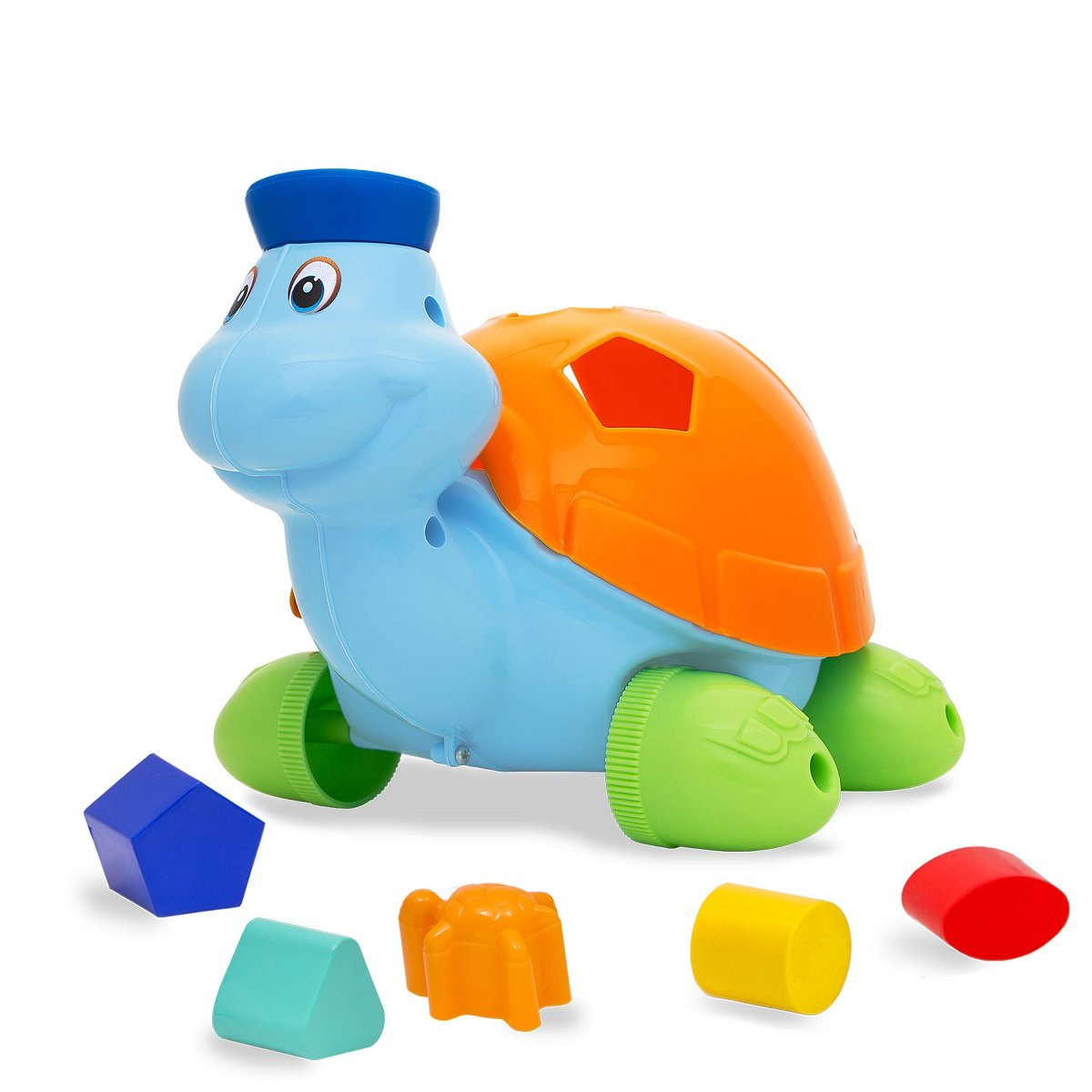 BRINQUEDO EDUCATIVO TORTUGA TOPI 4014 - CARDOSO TOYS:Azul | MadeiraMadeira