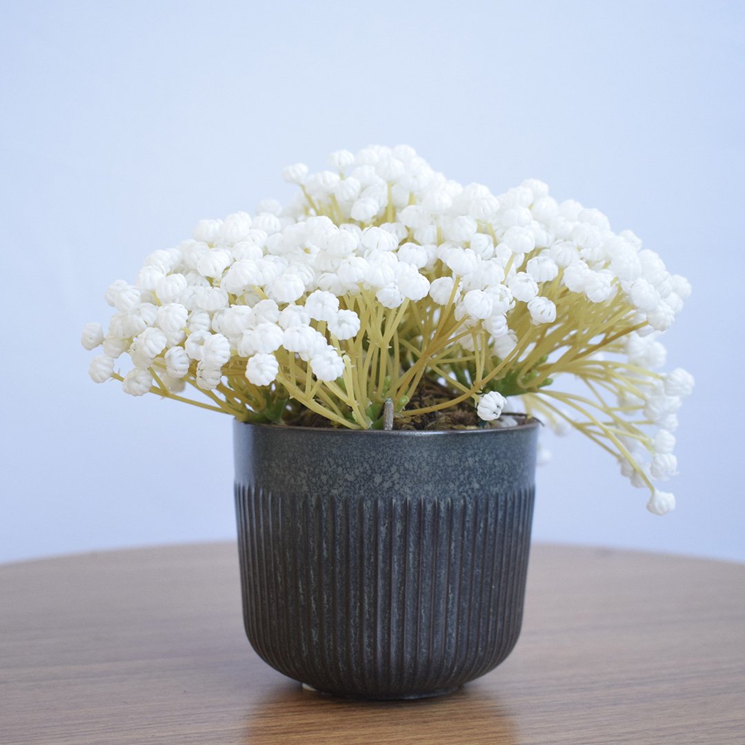 Arranjo Flor Artificial Mosquitinho Branca No Vaso Preto| Formosinha ...