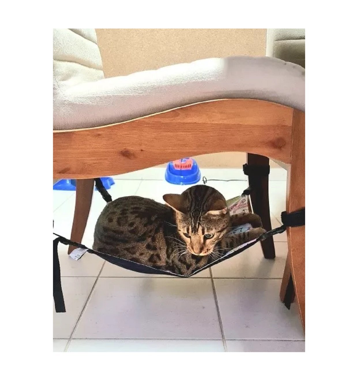 REDE PARA CÃES E GATOS ATE 20KG - ESTAMPADO Auau Company Estampa Cat E ...