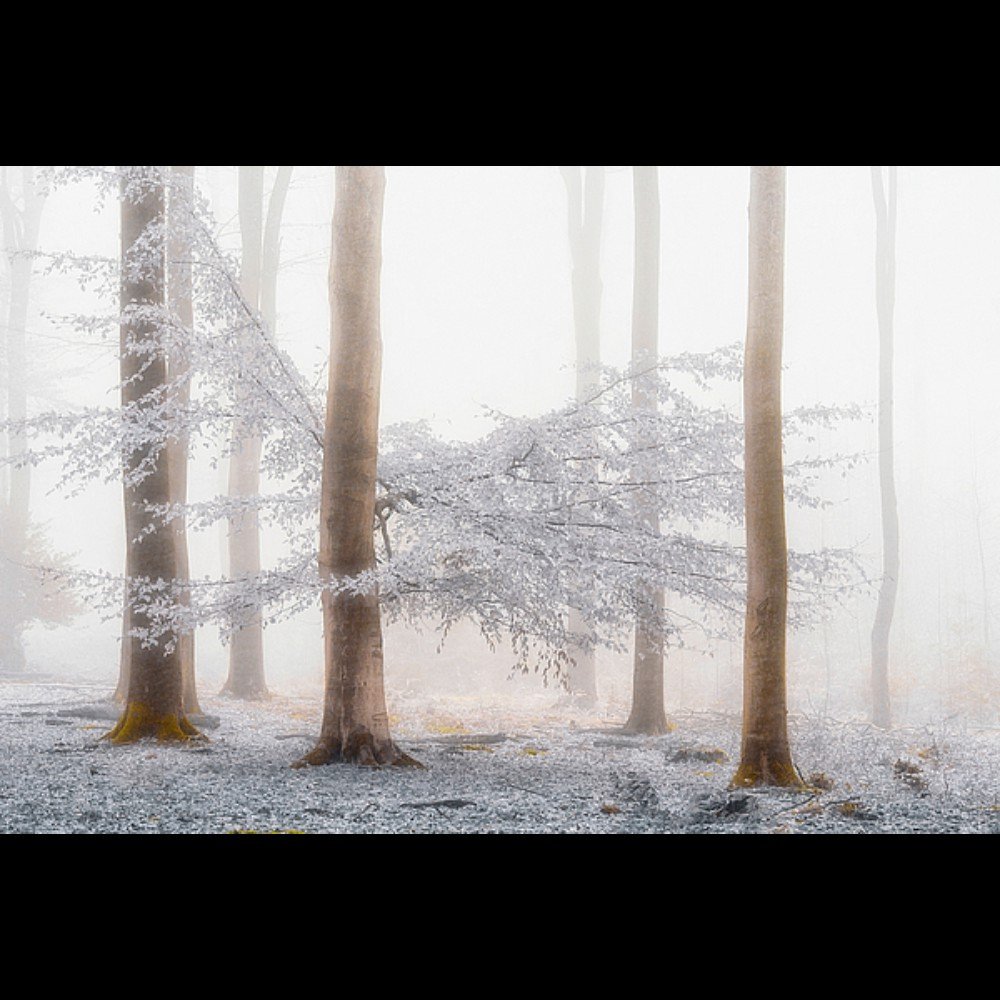 Lishka Canaleta 80x53cm Tabaco | MadeiraMadeira