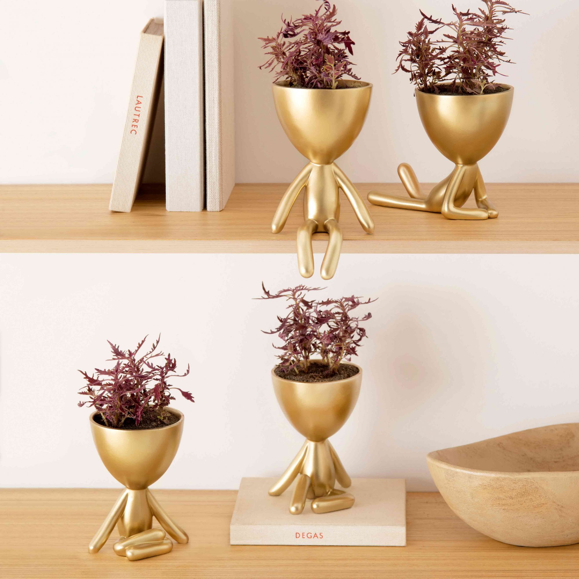 Vaso Decorativo Bob Robert Planta em Poliresina Dourado 14,5x11x10 cm ...