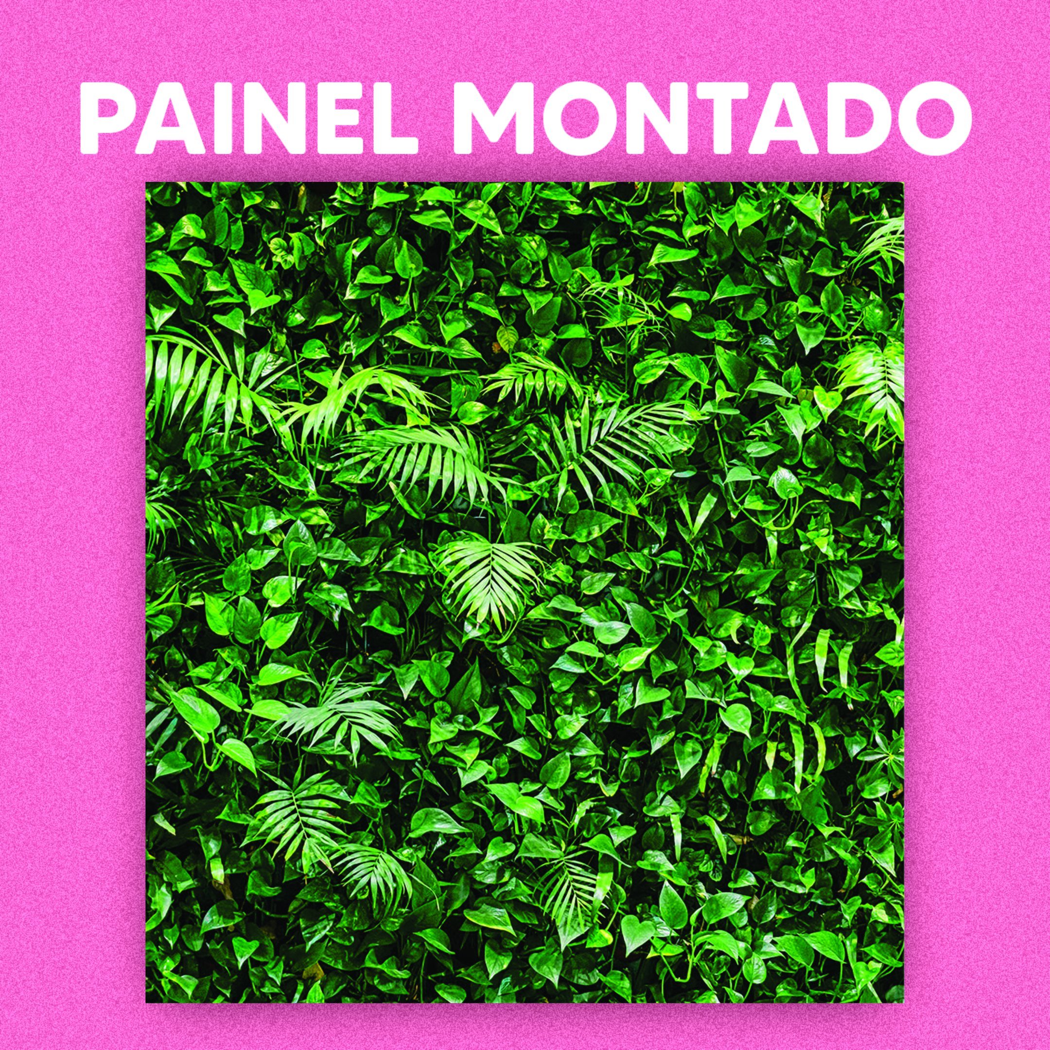 Papel de Parede 3D Painel 2,5M Folhas Dólar Verde Decorado Jadim ...