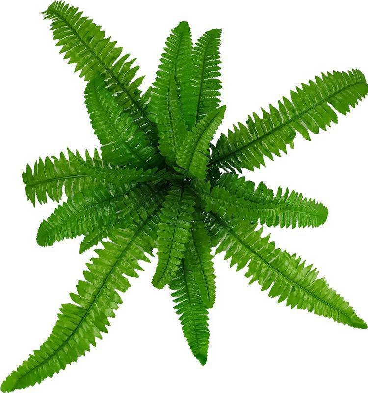 10 Samambaia Artificial Plantas/parede Folhagem Flor | MadeiraMadeira