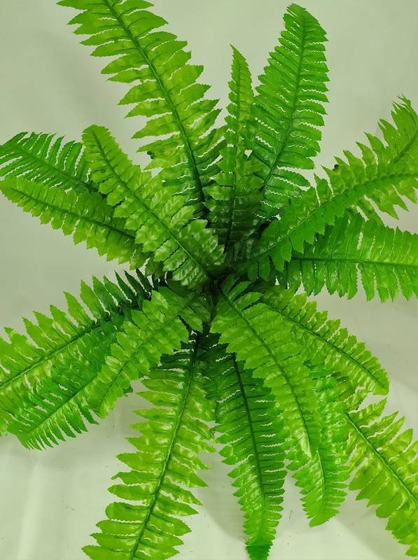 10 Samambaia Artificial Plantas/parede Folhagem Flor | MadeiraMadeira