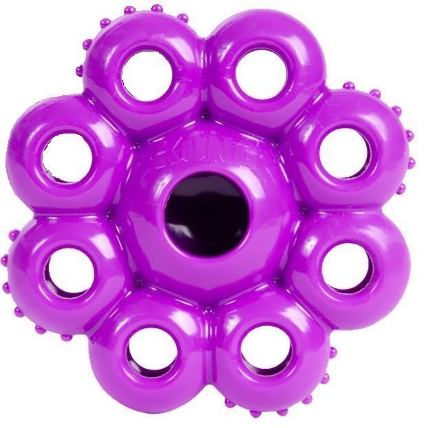 Kong Quest Star Pod Brinquedo Recheável para Cães | MadeiraMadeira