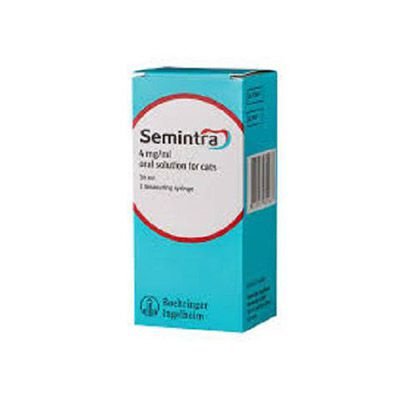Semintra Boehringer Ingelheim Solução Oral para Gatos 30ml | MadeiraMadeira