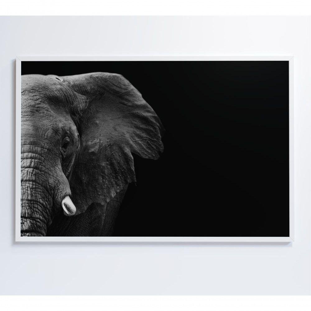 Quadro Elefante Preto E Branco 60x40 Cm Adesivo Fotográfico ...