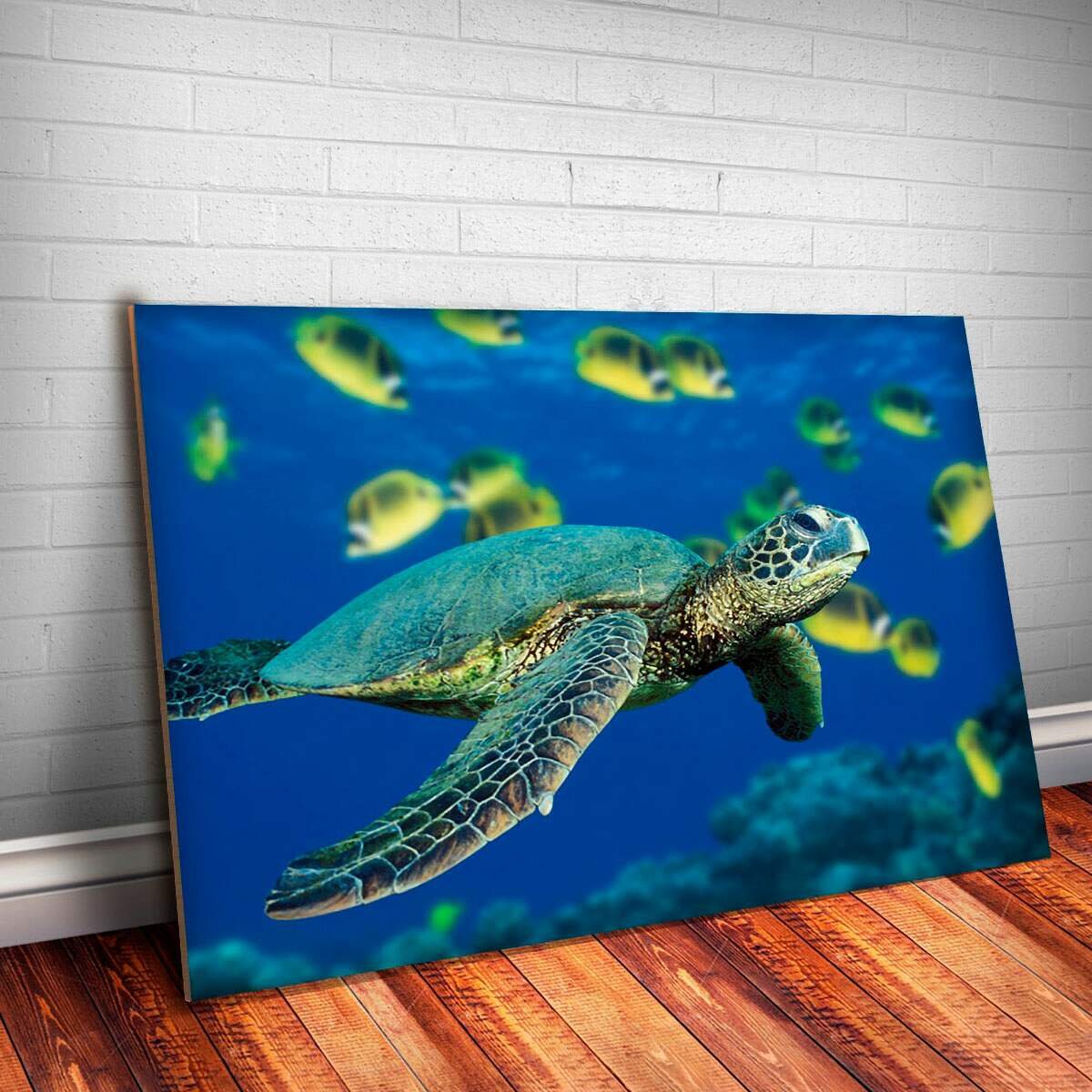 Placa decorativa Animais 34 Tartaruga-30X45CM | MadeiraMadeira