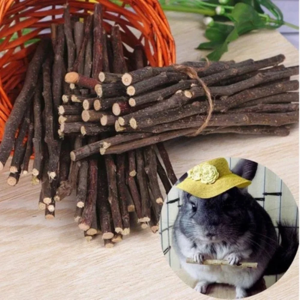 Galhos de Amora Natural para Aves e Roedores como Coelho Hamster Chinchila - Orgânico (amoreira ...