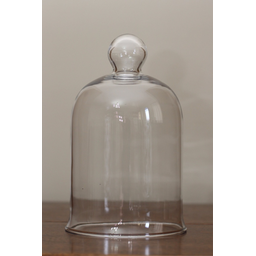 Redoma de Vidro | MadeiraMadeira