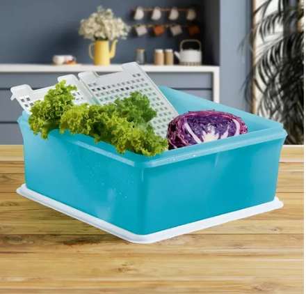 Tupperware Super Caixa 10 Litros Tupperware com Grade Tampa para Geladeira Tupperware Super ...