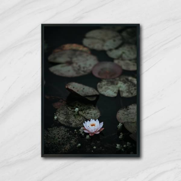 Quadro Flor de Lotus 24x18cm - com vidro:Madeira branca | MadeiraMadeira
