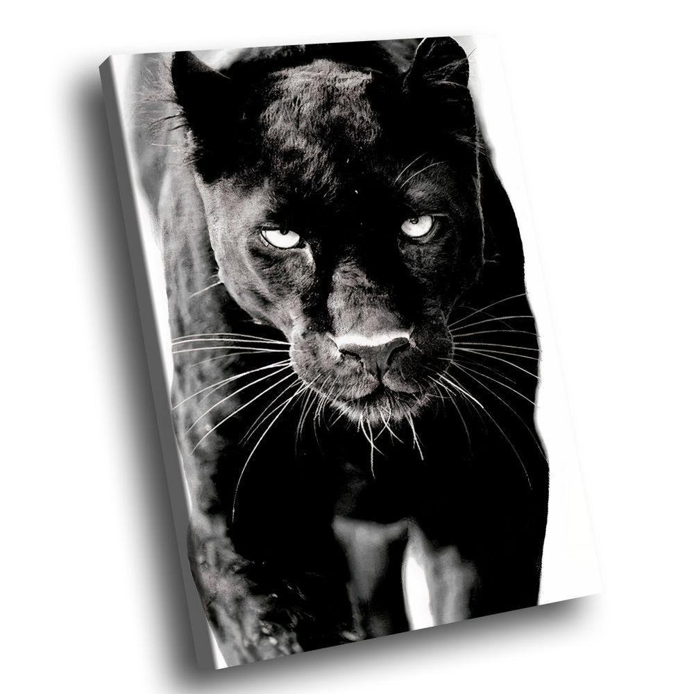 Quadro Decorativo Pantera | MadeiraMadeira