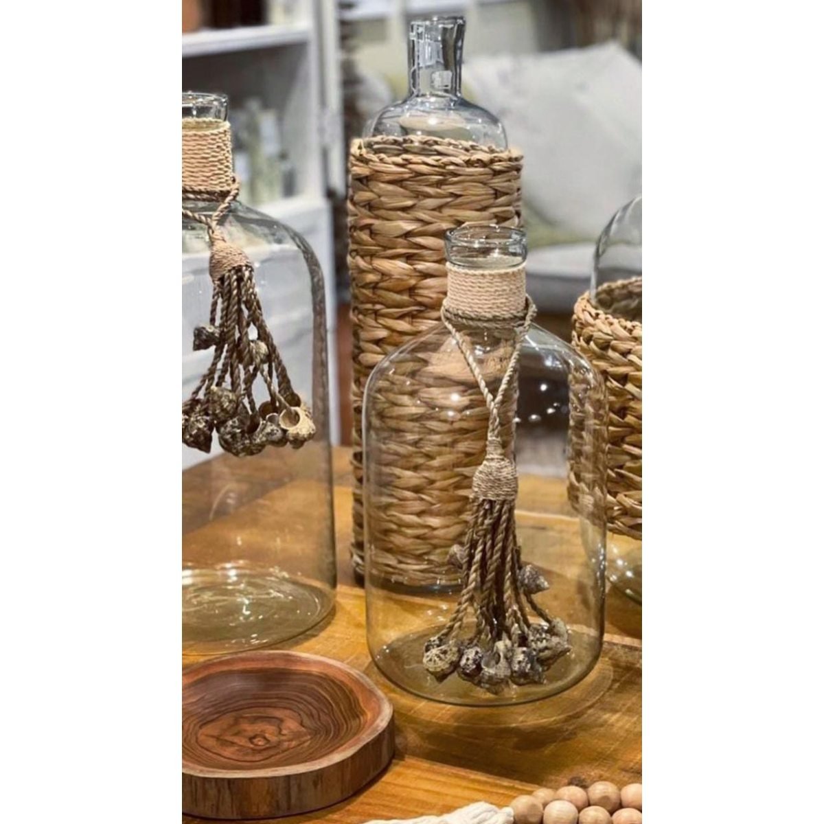 Garrafão Decorativo Pingente Shell H2o M Thaythay Decoracao ...