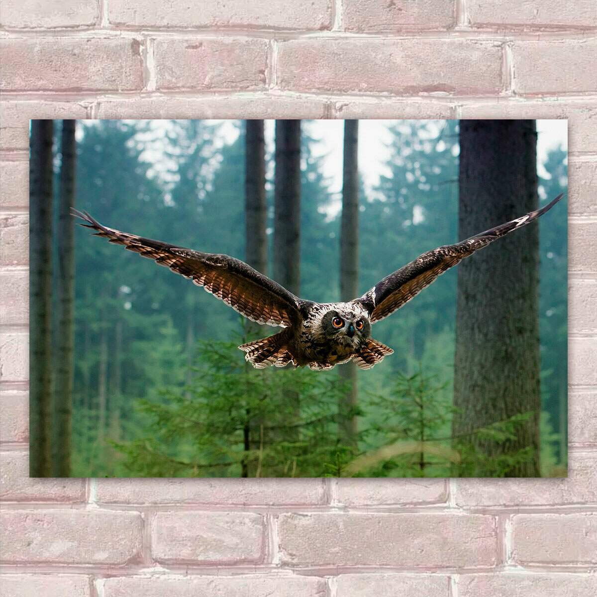 Placa Decorativas Animais 89 Corujas-30X45Cm | MadeiraMadeira