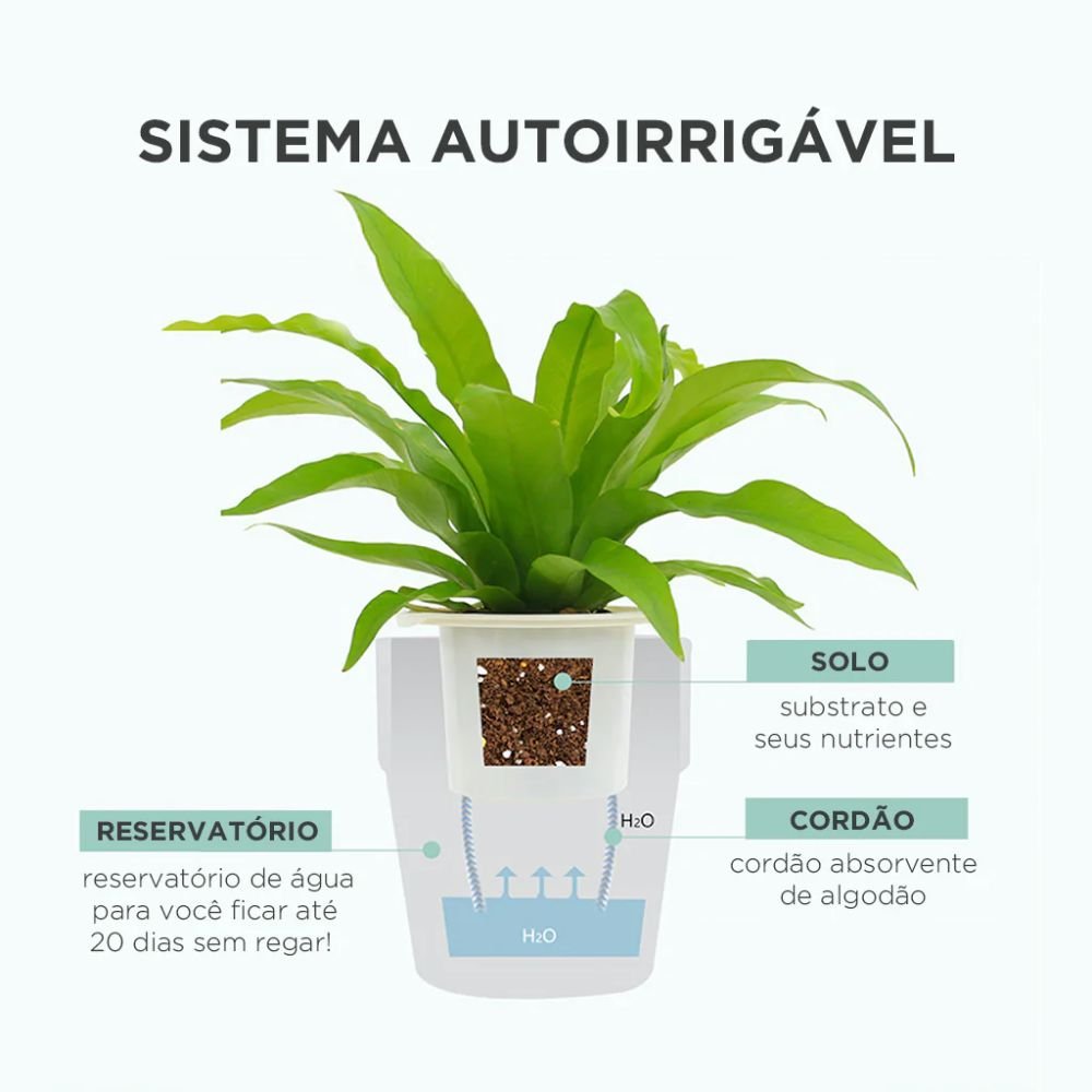 Vaso Autoirrigável Lagoa Da Conceição Ekological Cinza | MadeiraMadeira