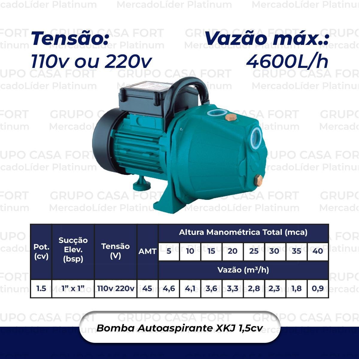 Motobomba Lepono Xkj-1100i Ferro Fundido 1,5hp Ipx4 | MadeiraMadeira