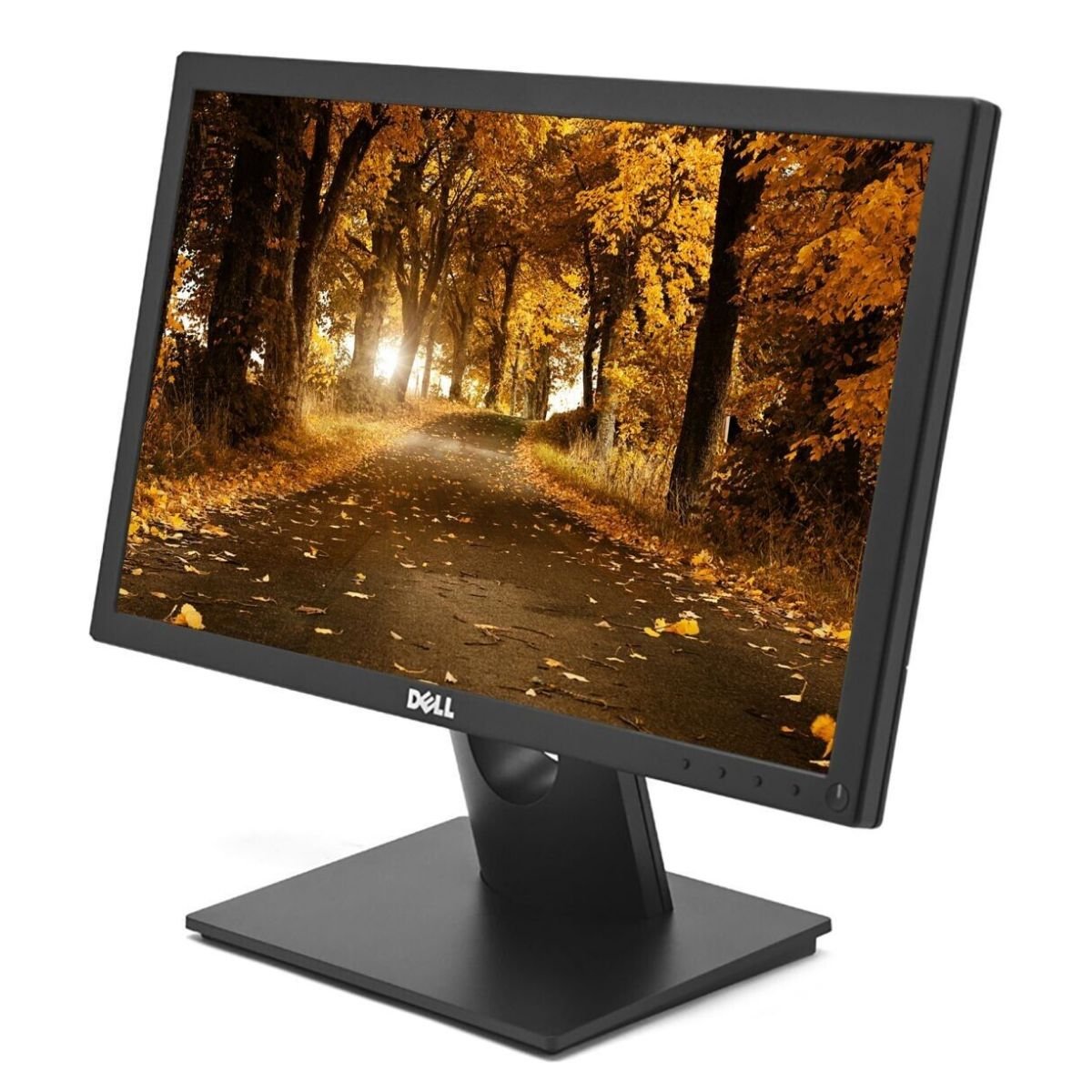 Monitor Dell E1916h Led 18.5 Preto 100v/240v Displayport, VGA ...